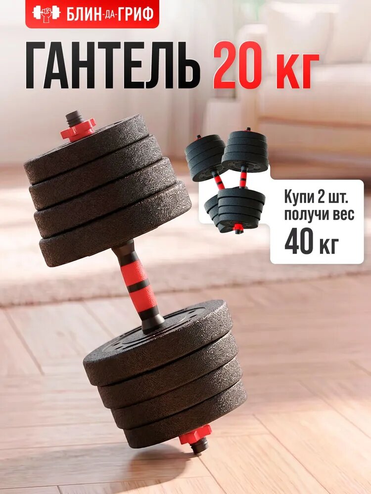Гантель разборная 20 кг, 1 шт