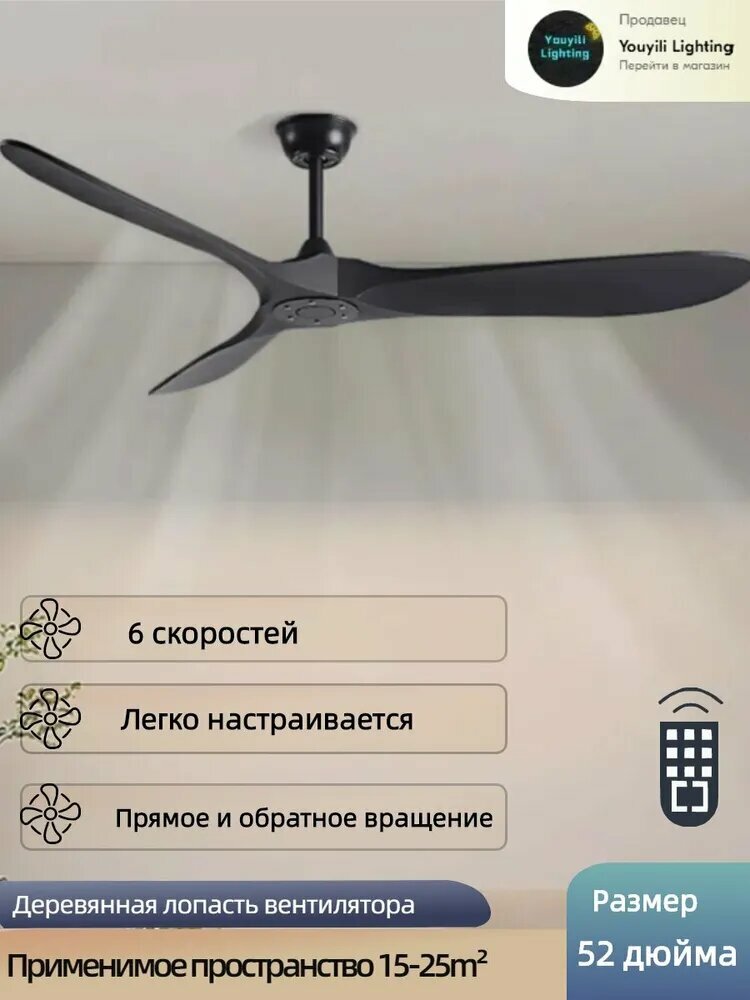Потолочный вентилятор FS-M, черный матовый