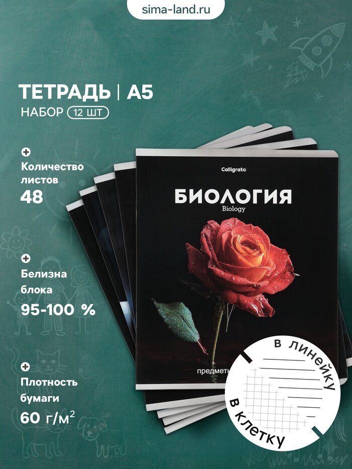 Тетради предметные 12 шт. «Черная серия», 48 листов, со справочной информацией