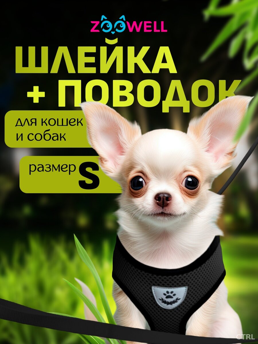 Шлейка с поводком для небольших кошек и собак ZooWell универсальная, размер S черная