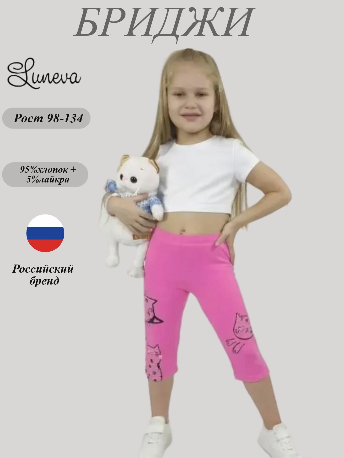 Бриджи