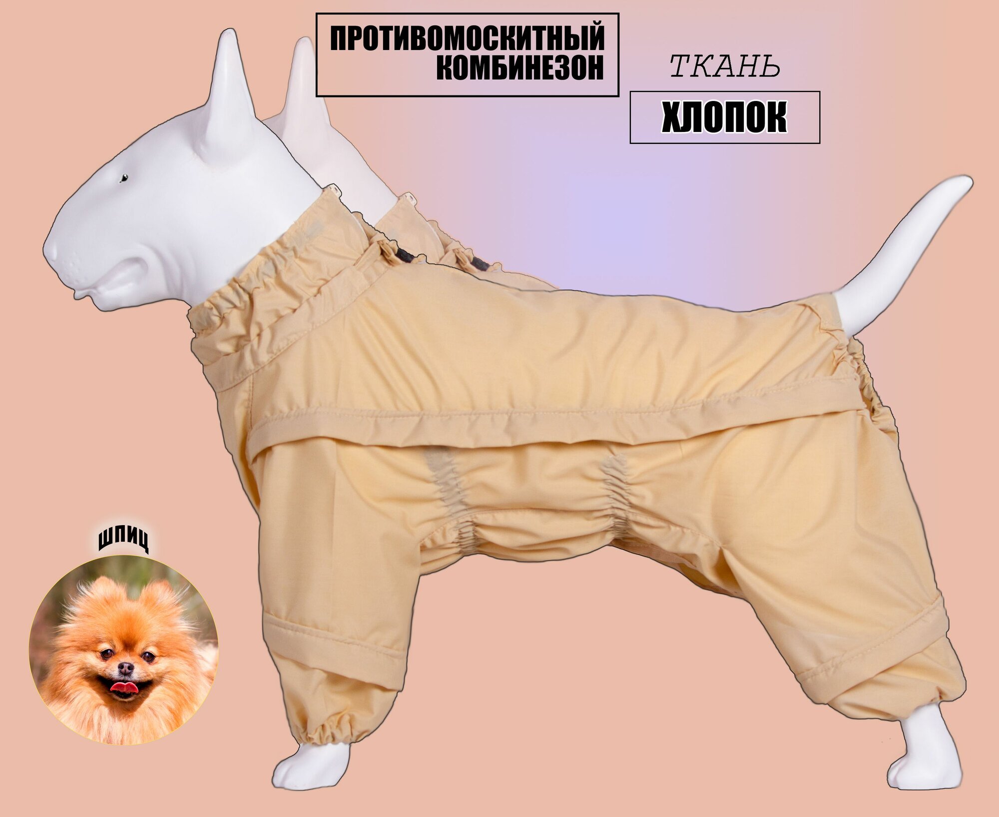 Комбинезон от клещей для померанского шпица суки, цвет бежевый