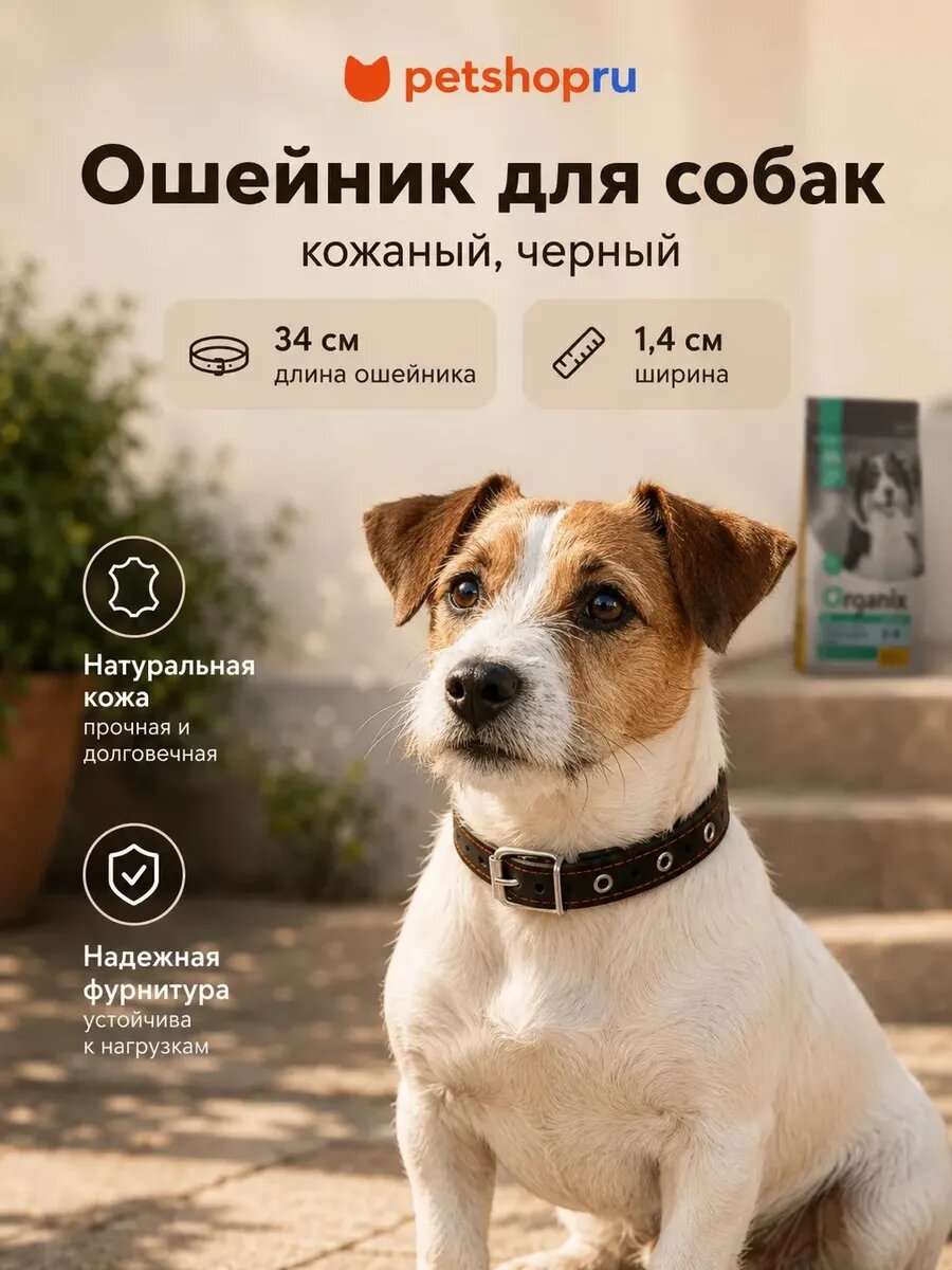 Yami Yami амуниция Ошейник безразмерный для собак, кожа, черный 34*1,4см