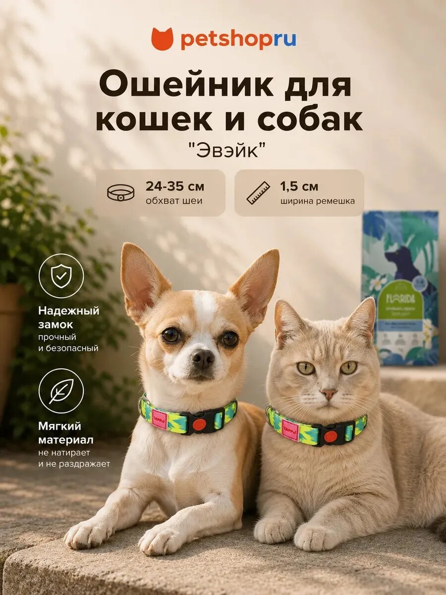 Ошейник из стропы "Эвэйк"