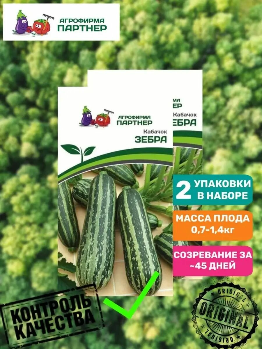 Кабачок зебра, (10шт), 2 уп.