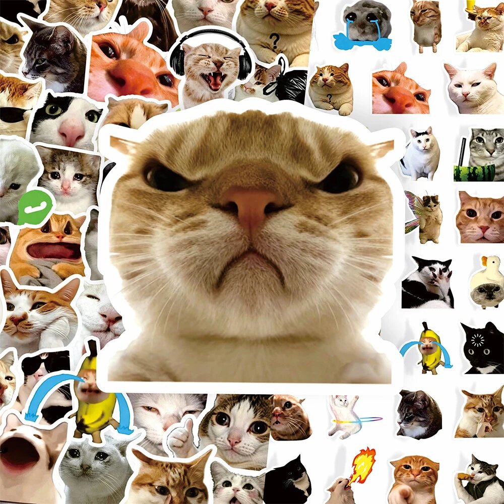 Мемные наклейки с котами Rspctou 100PCS
