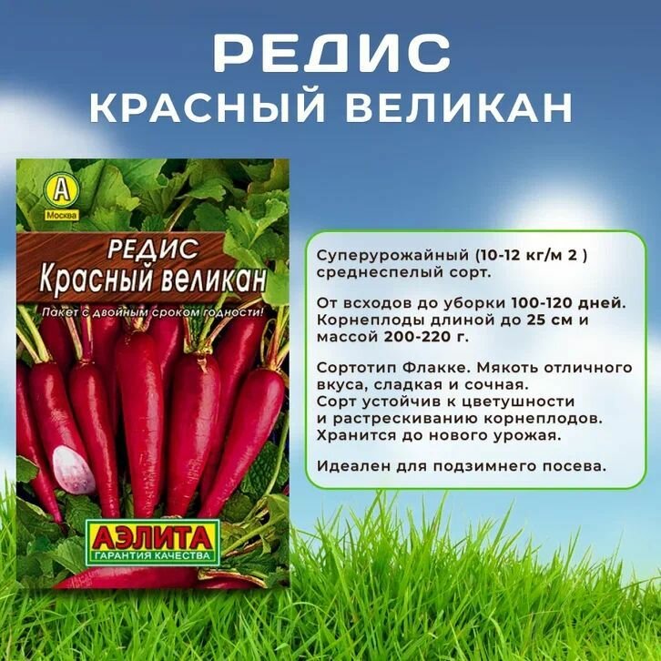 Семена Редис "Красный великан" Агрофирма редис семена редиса Красный великан