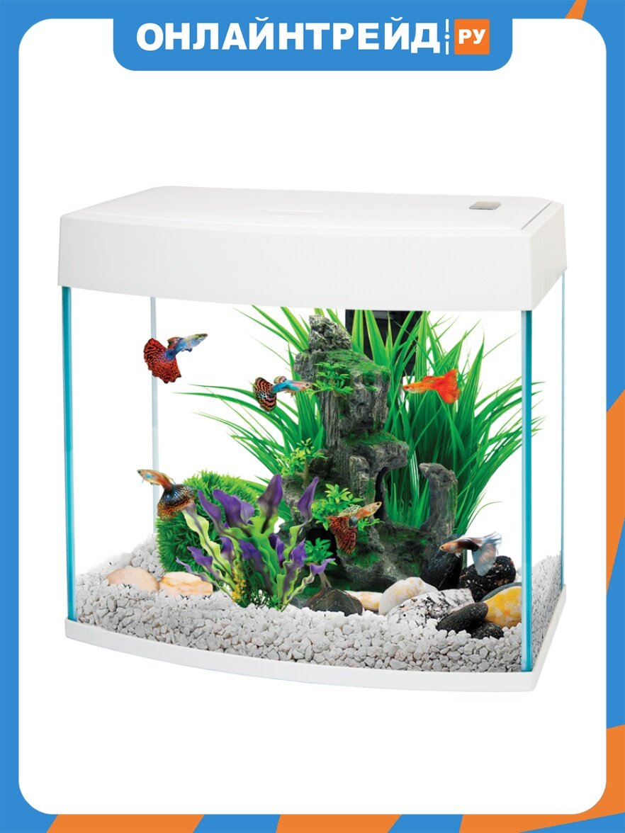 Аквариум Aa-aquarium AA Aquarium BasicP 14л, панорамный белый, 34х19,2х31 см