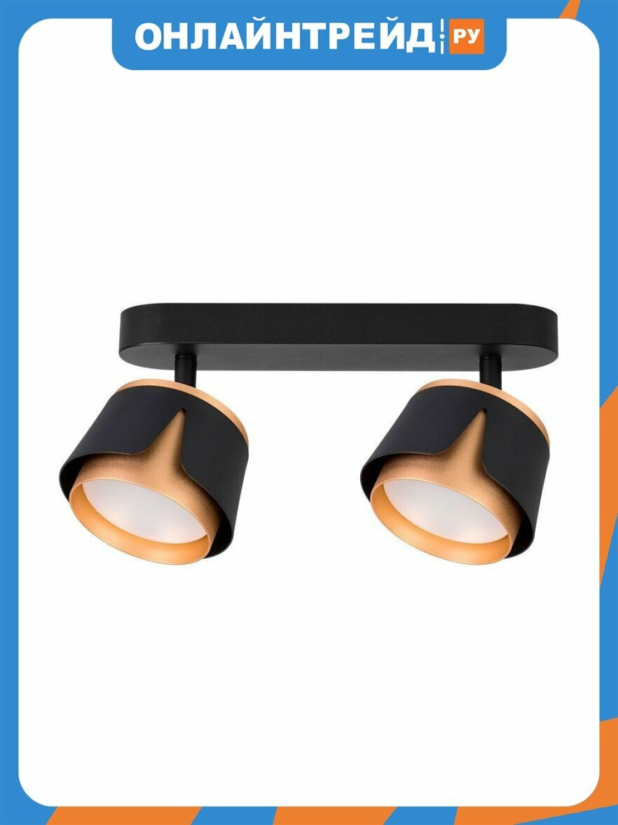 Спот Arte Lamp Amaks A8028PL-2BK