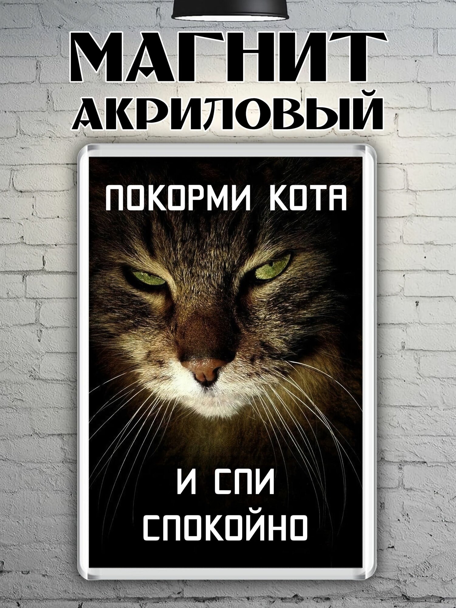 Магнит на холодильник "А ты кормил кота?"