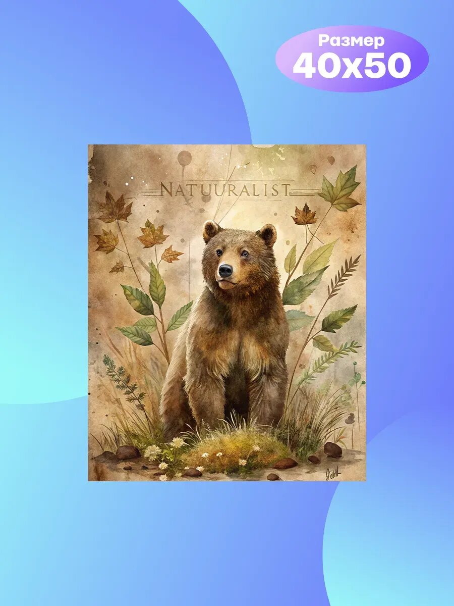 Картина Дикие Животные Медведь 40x50 см