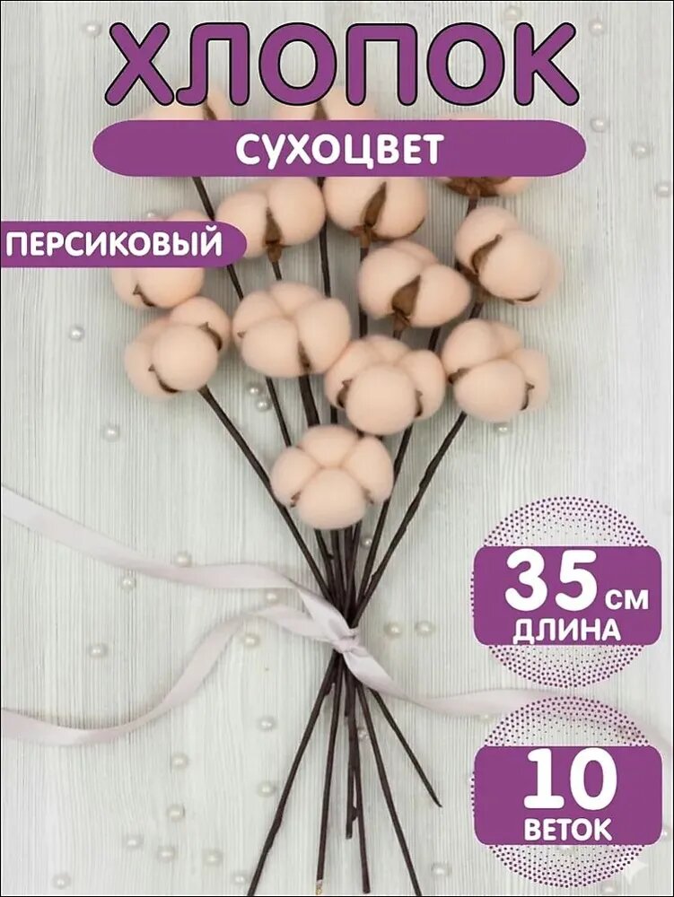 Сухоцветы Хлопок, 35 см, 10 шт