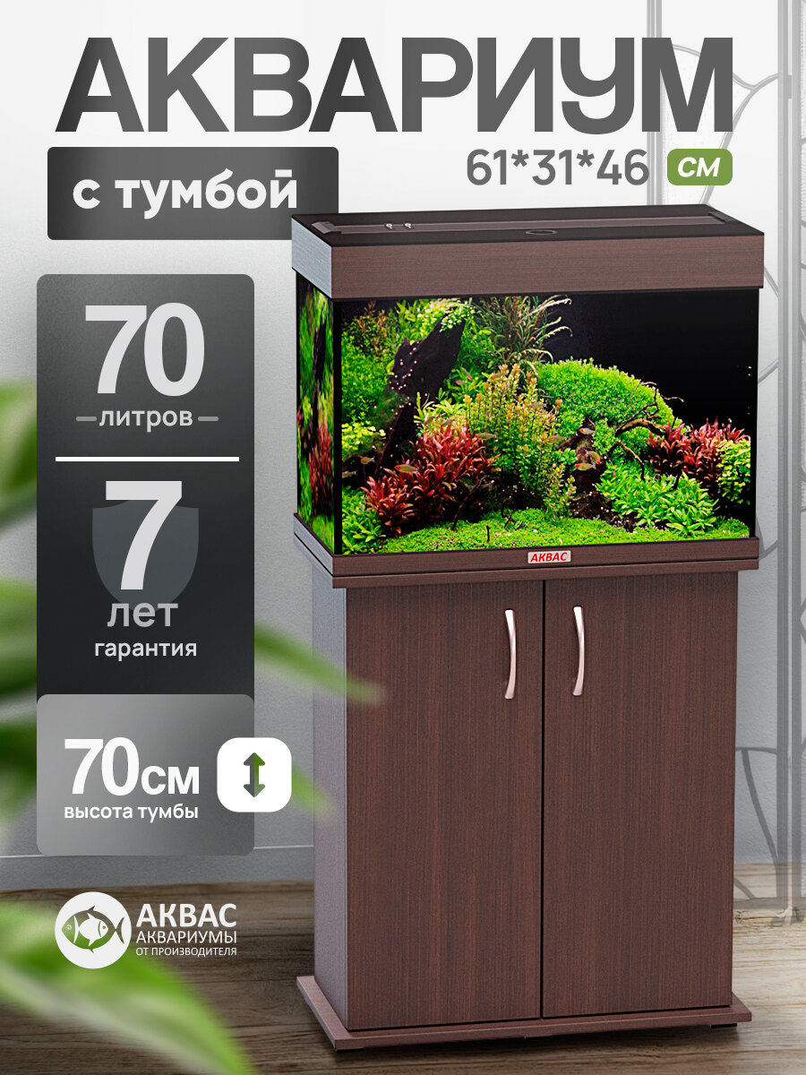 Аквариум 70 литров с тумбой крышкой и освещением (61*31*46 см) Аквас