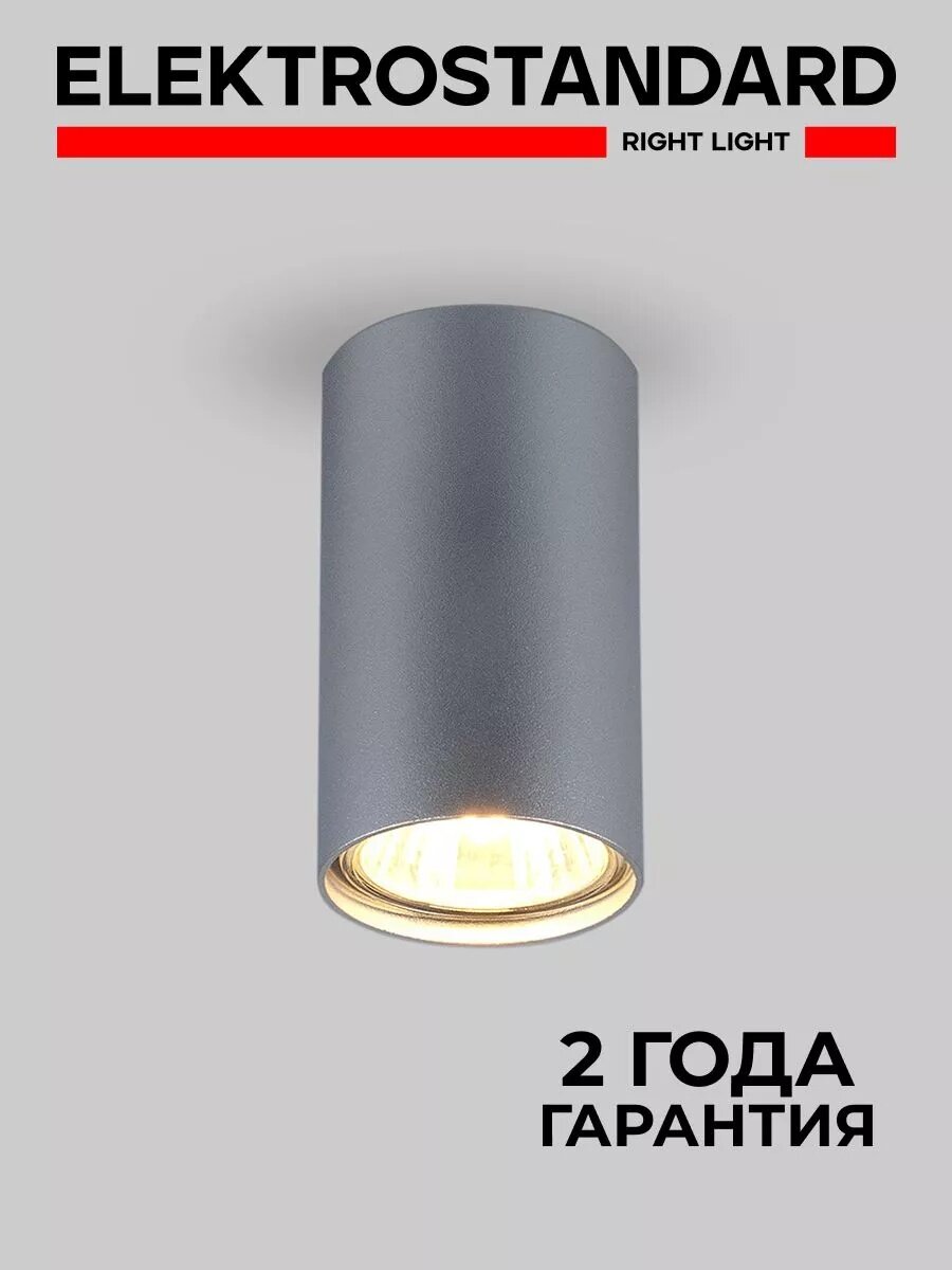 Спот / Накладной потолочный светильник Elektrostandard 1081 GU10 SL серебро (5257)
