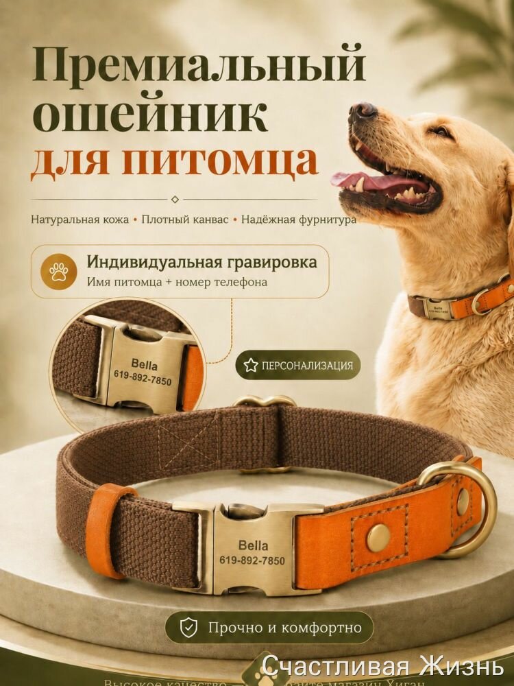 Ошейник для собак с индивидуальной гравировкой, именной ошейник из брезента и кожи для крупных и средних собак, M