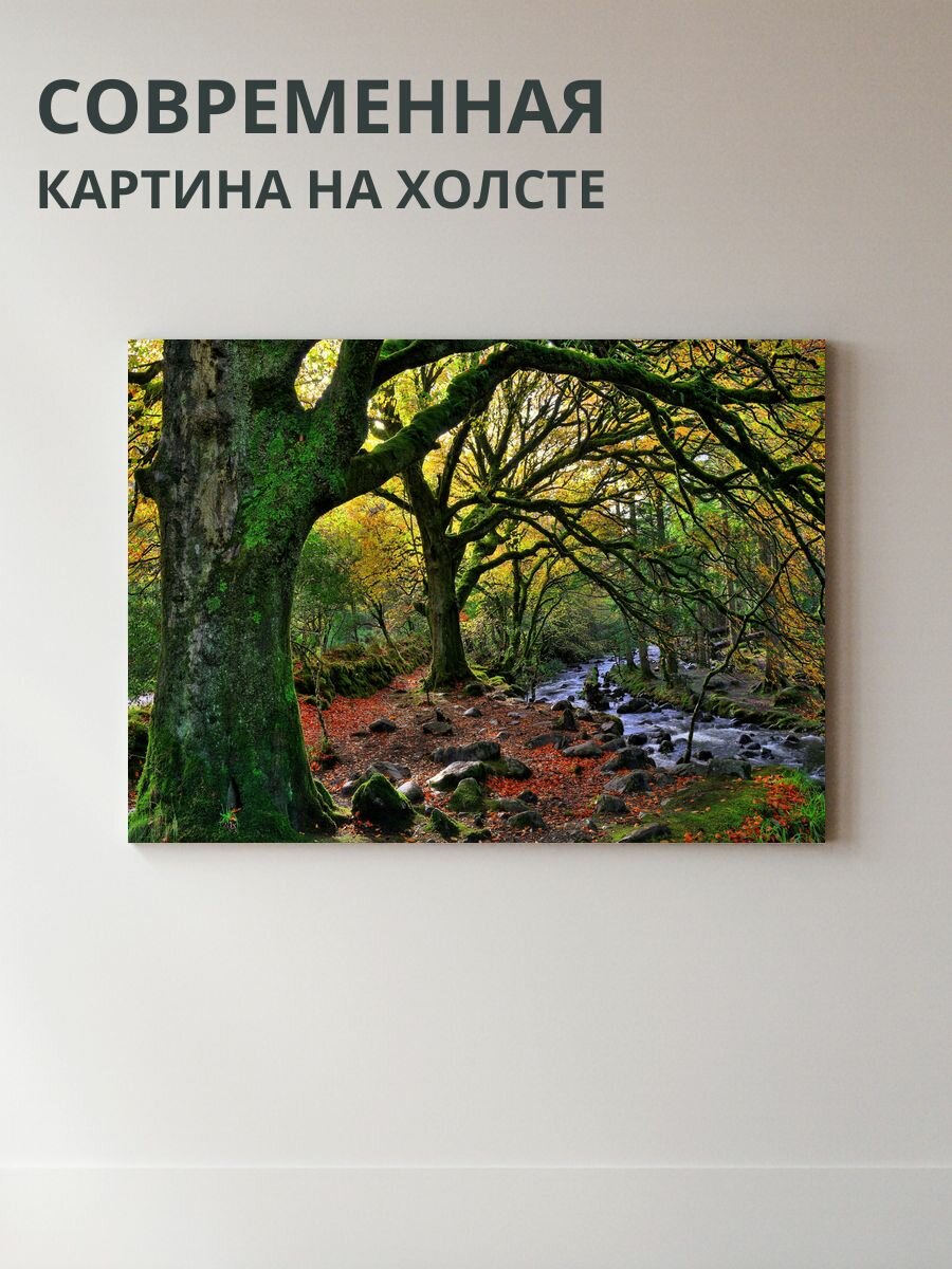 Картина на холсте Дерево и ручей 70x50 см