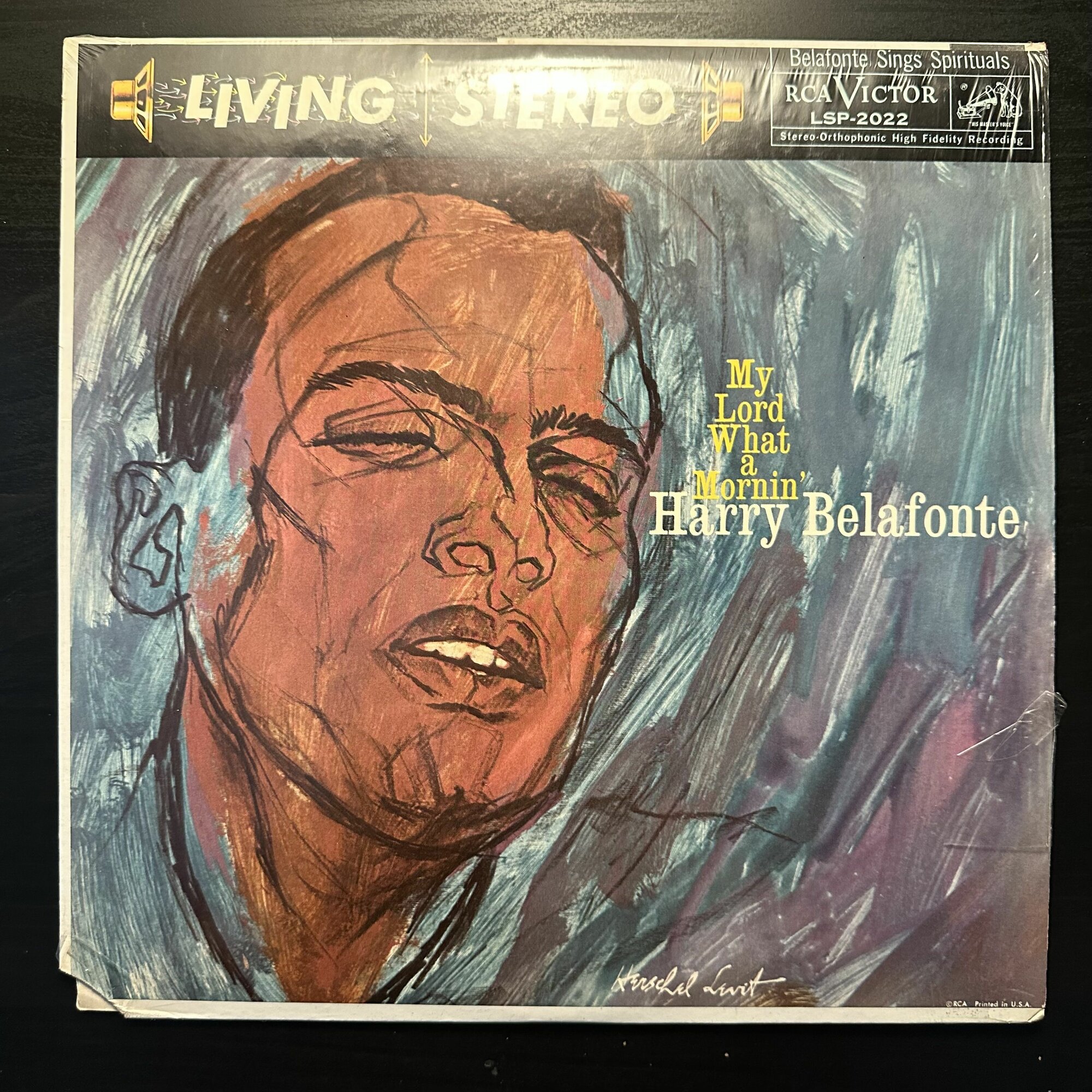 Виниловая пластинка Harry Belafonte My Lord What A Mornin (США)