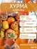 Хурма морозостойкая сорта -"Королек", (1 шт), высокоурожайная