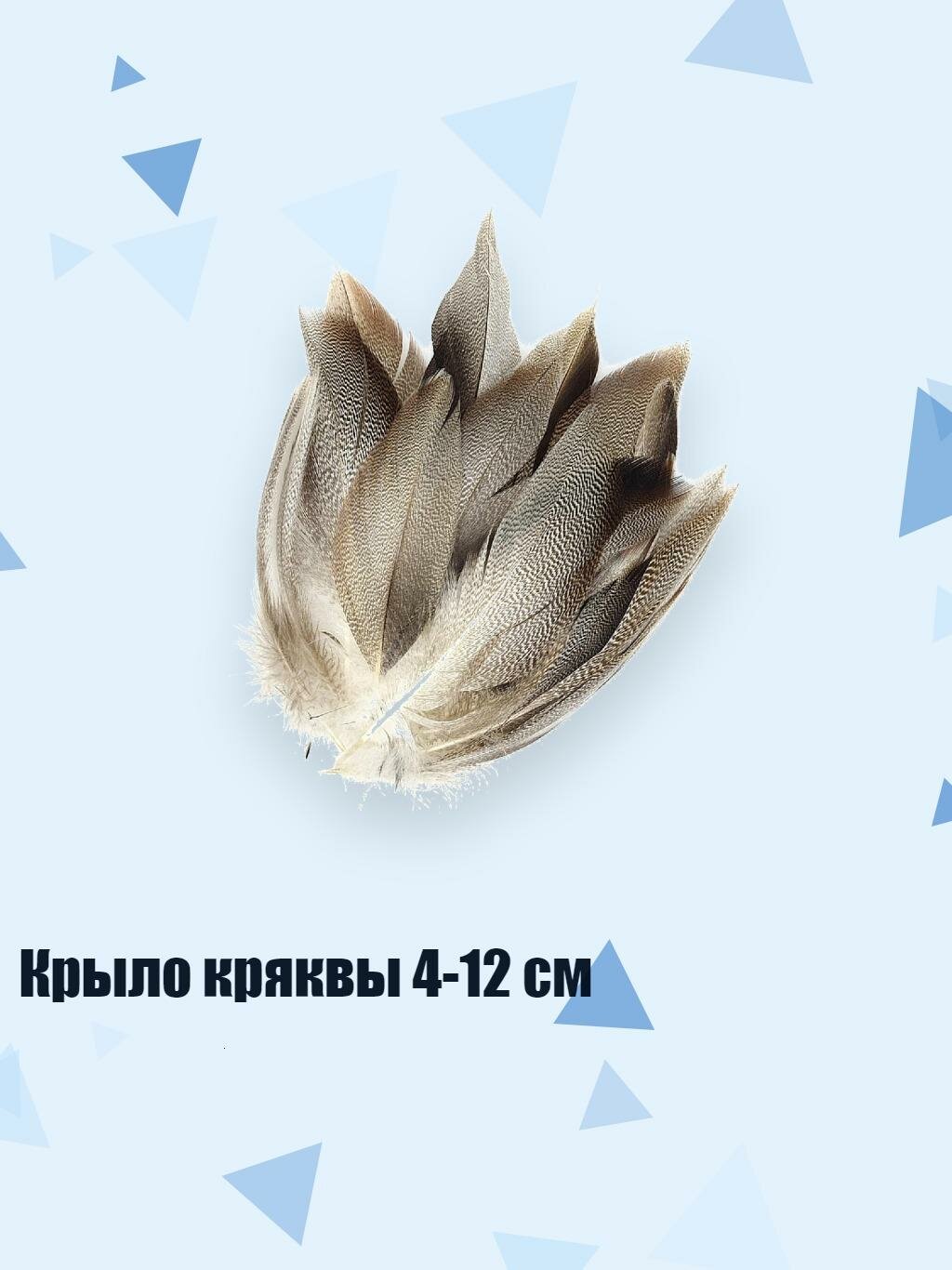 Крыло кряквы 4-12 см