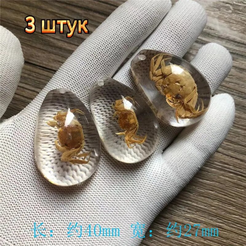 Ископаемые образцы янтарного жука