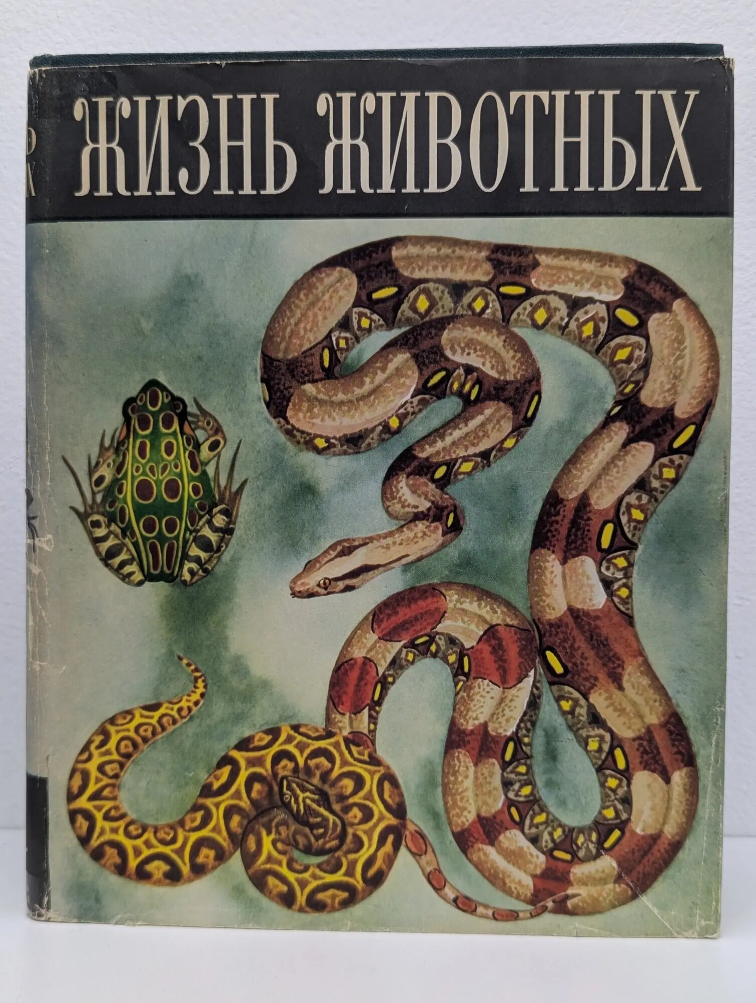 Жизнь животных. Том 4. Часть 2. Земноводные, пресмыкающиеся Банников Андрей Григорьевич (ред.) 1969