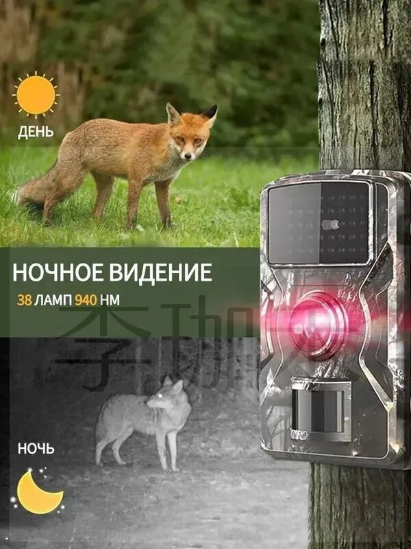 Фотоловушка — фото 1