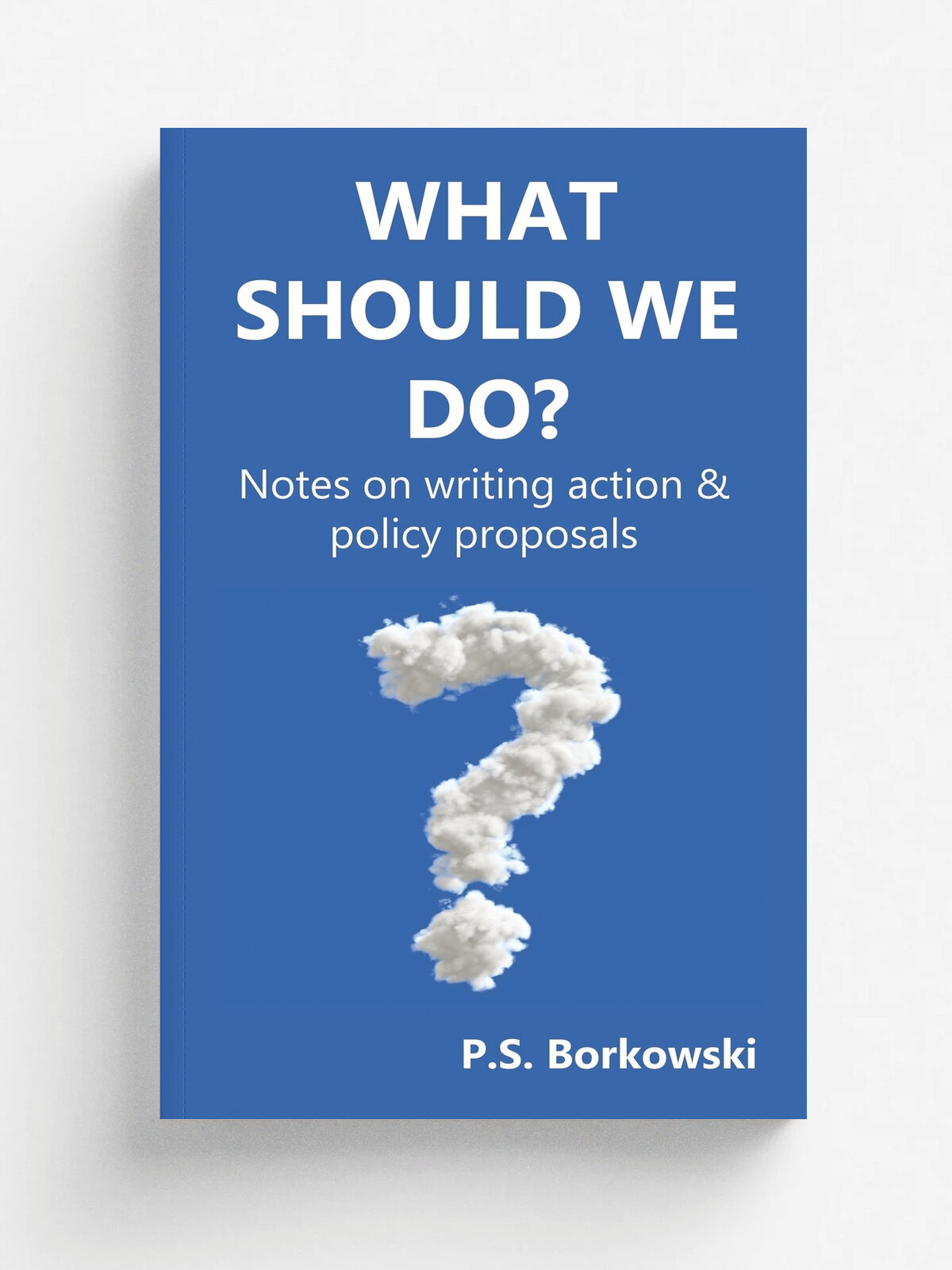What Should We Do. Notes on writing action & policy proposals