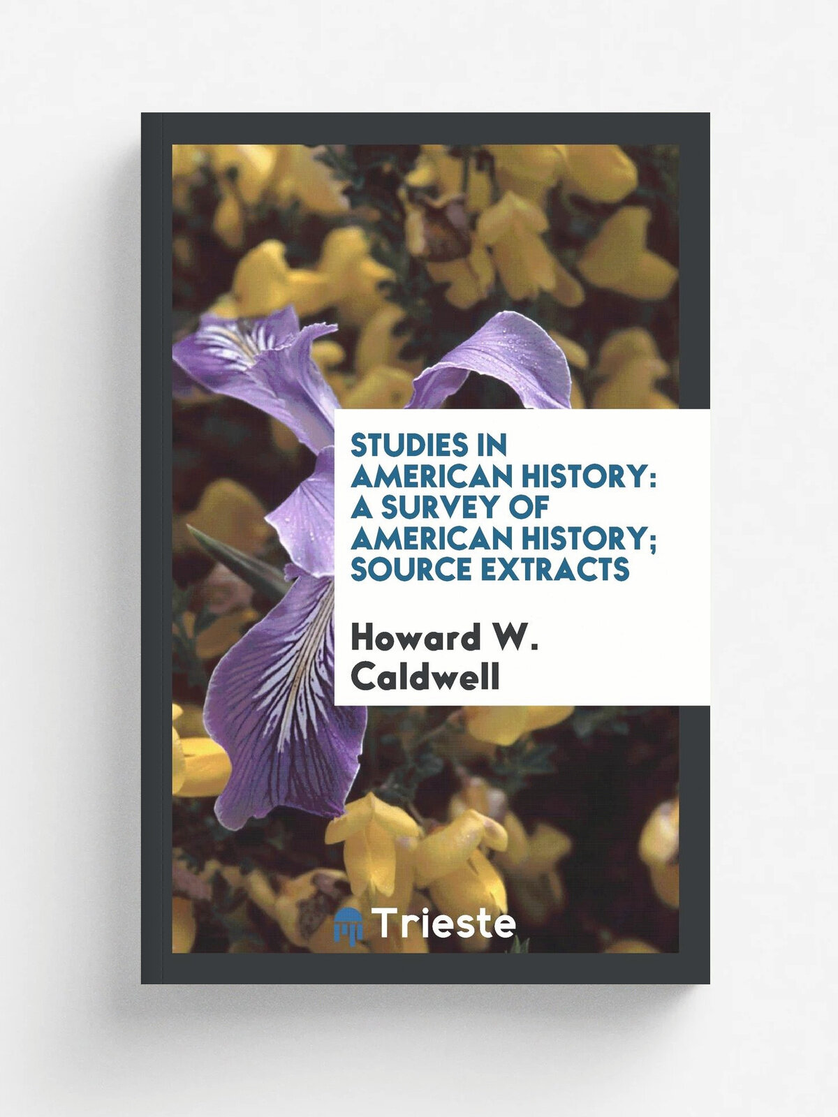 Studies in American History. A survey of American history; source extracts