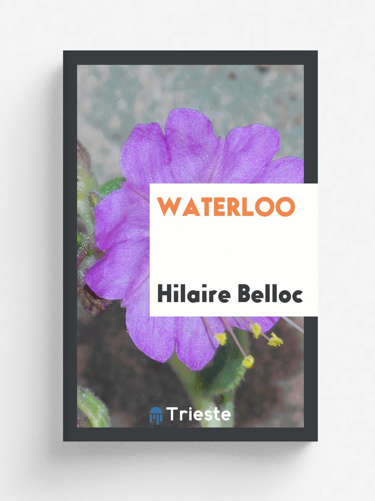 Waterloo