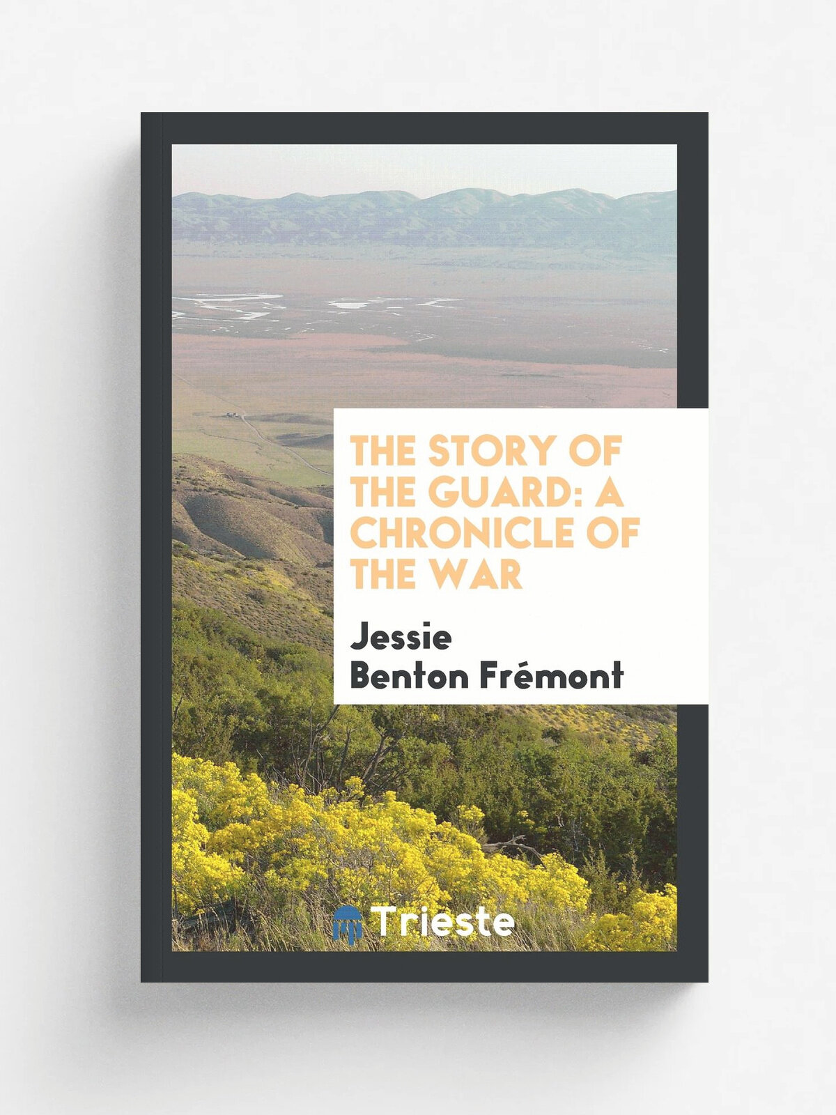 The story of the guard. a chronicle of the war