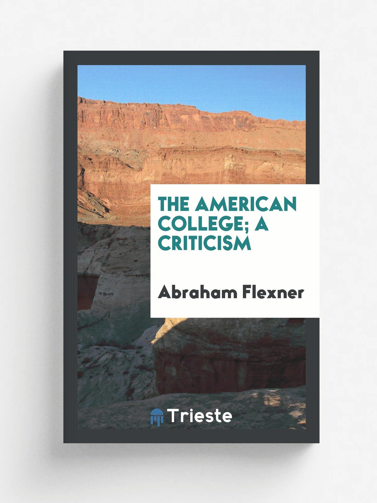 The American college; a criticism