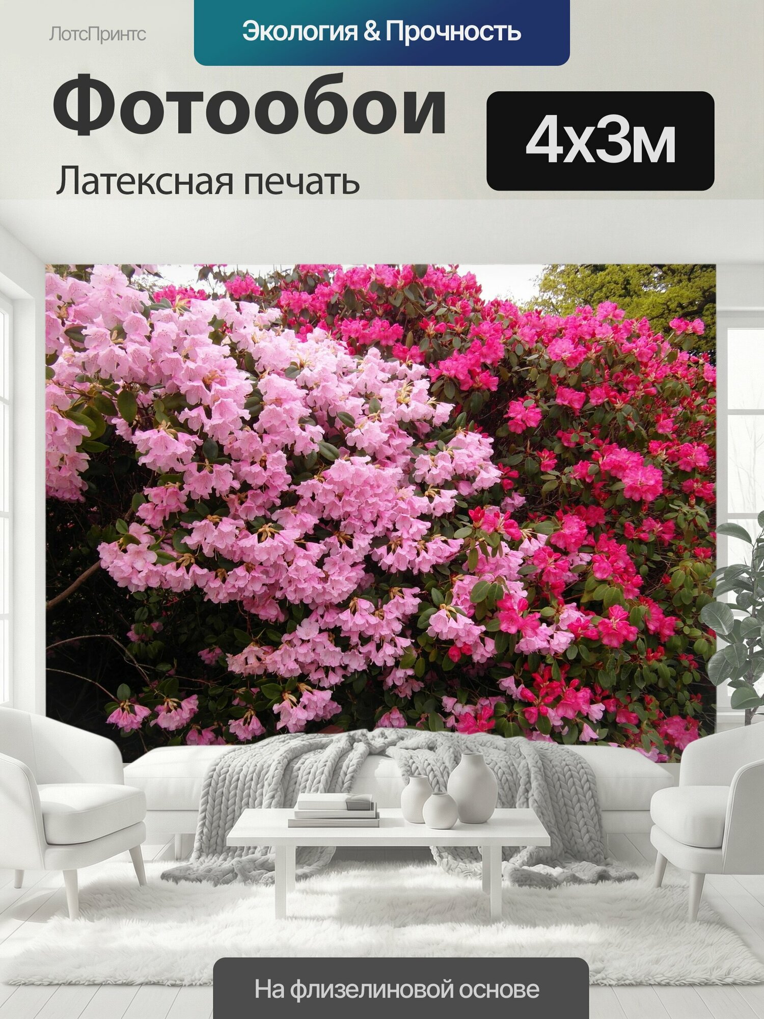 Фотообои моющиеся ударопрочные "Рододендрон, японский сад, расцветает" 400x300 см. латексная печать