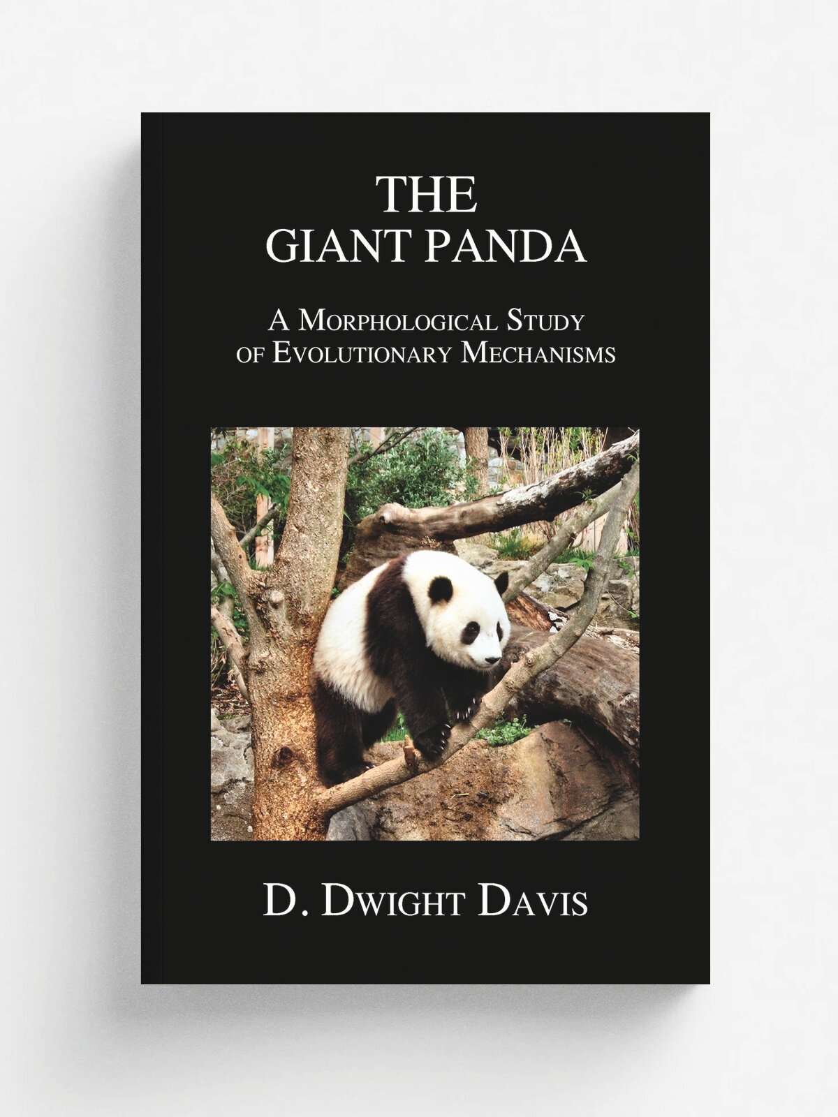 The Giant Panda. A Morphological Study of Evolutionary Mechanisms