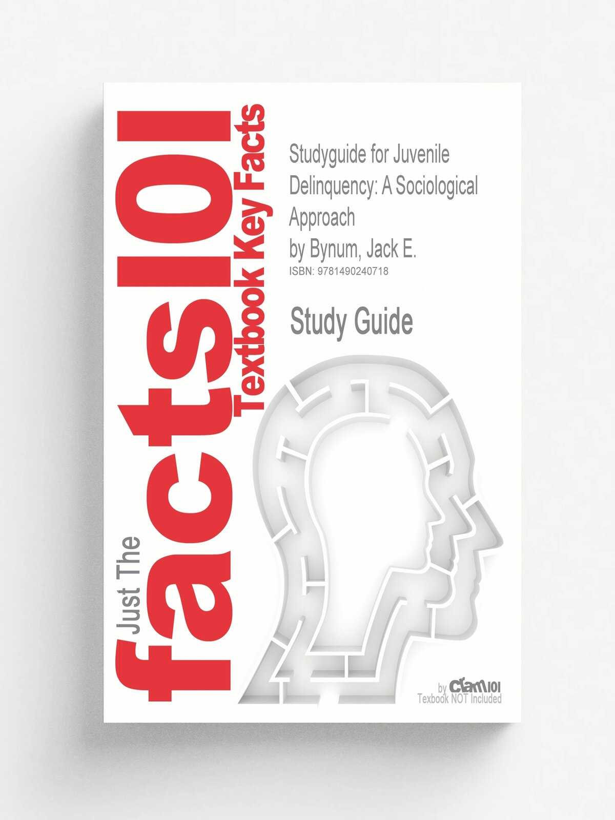 Studyguide for Juvenile Delinquency. A Sociological Approach by Bynum, Jack E.