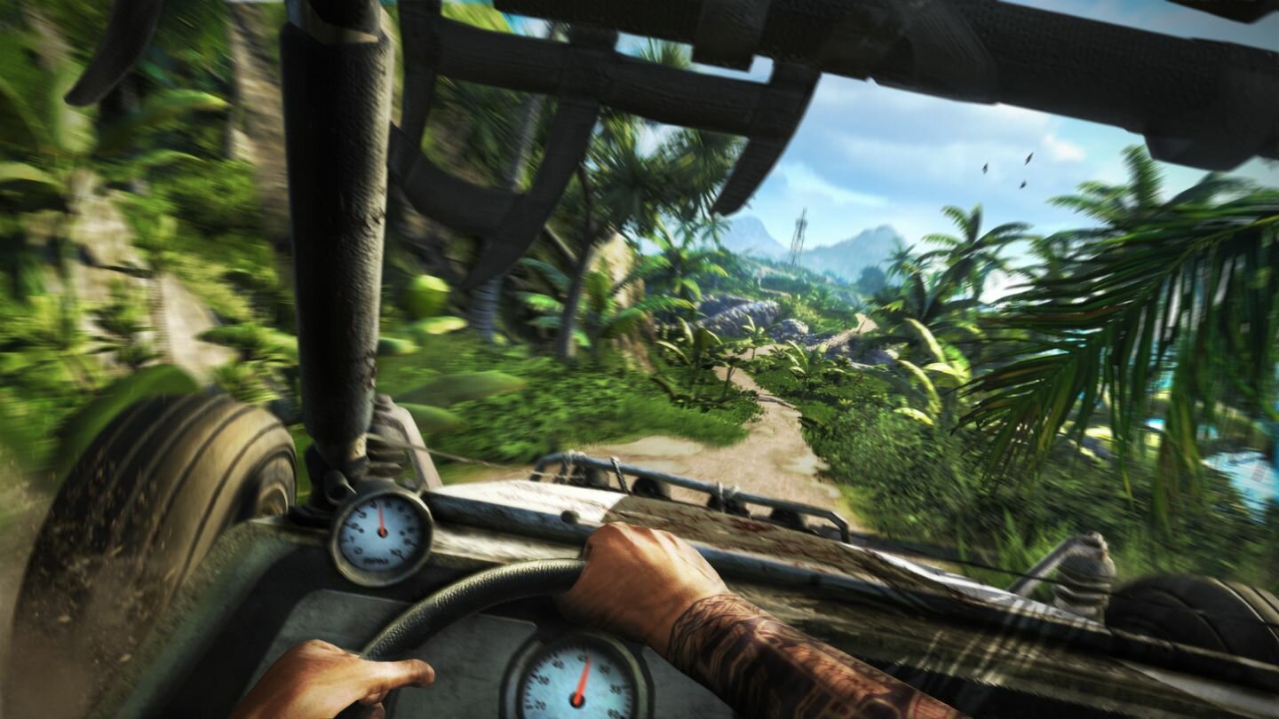 Far Cry 3, Россия — фото 1