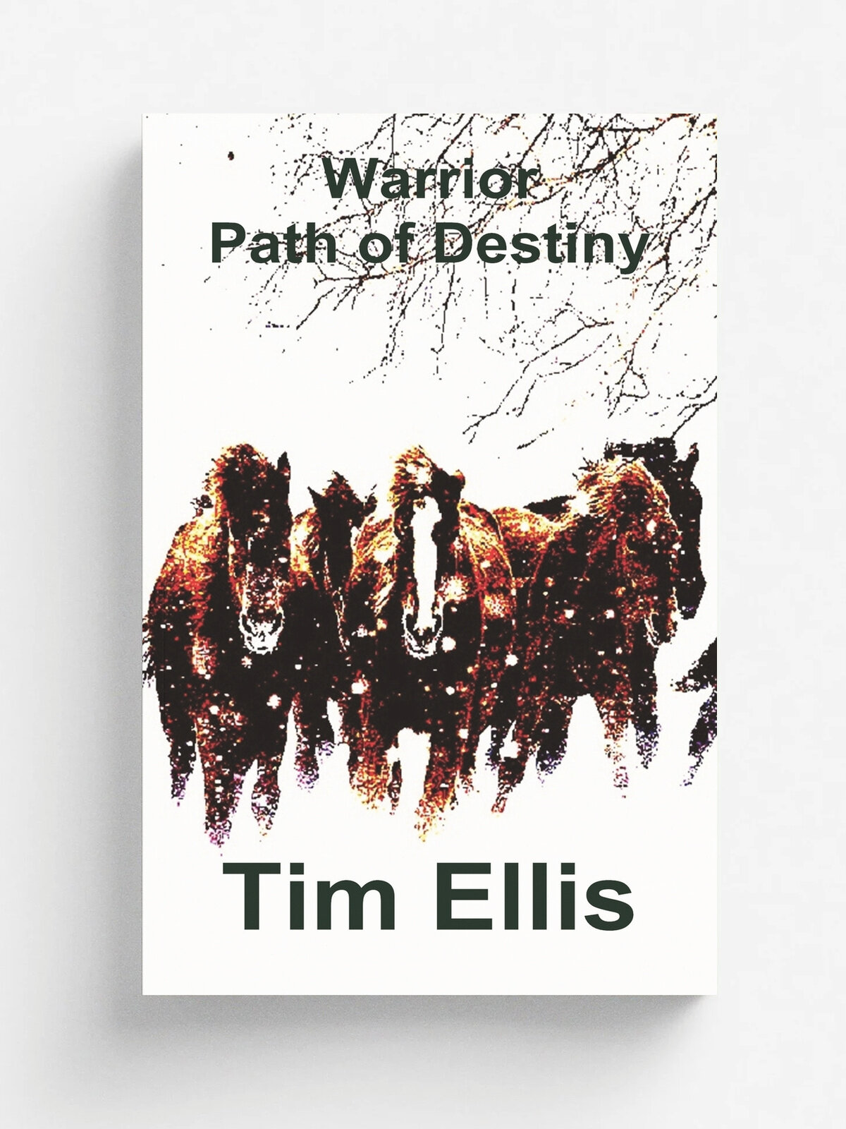 Warrior. Path of Destiny