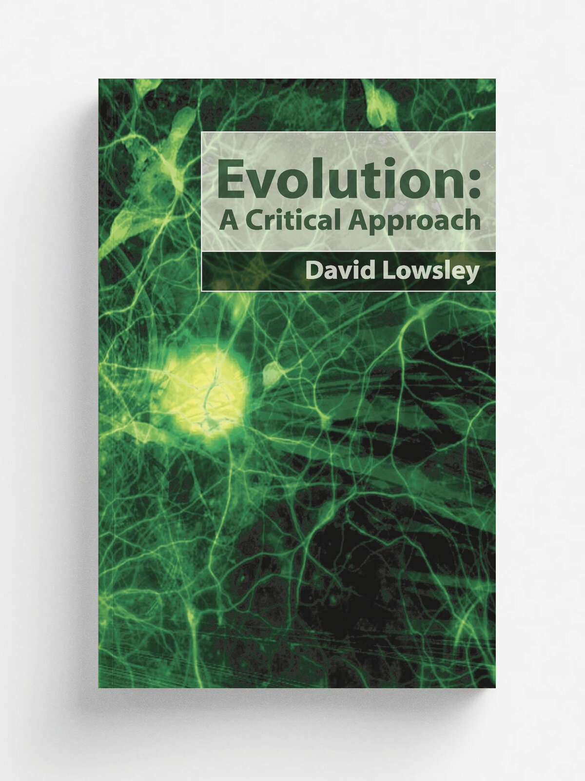 Evolution. A Critical Approach