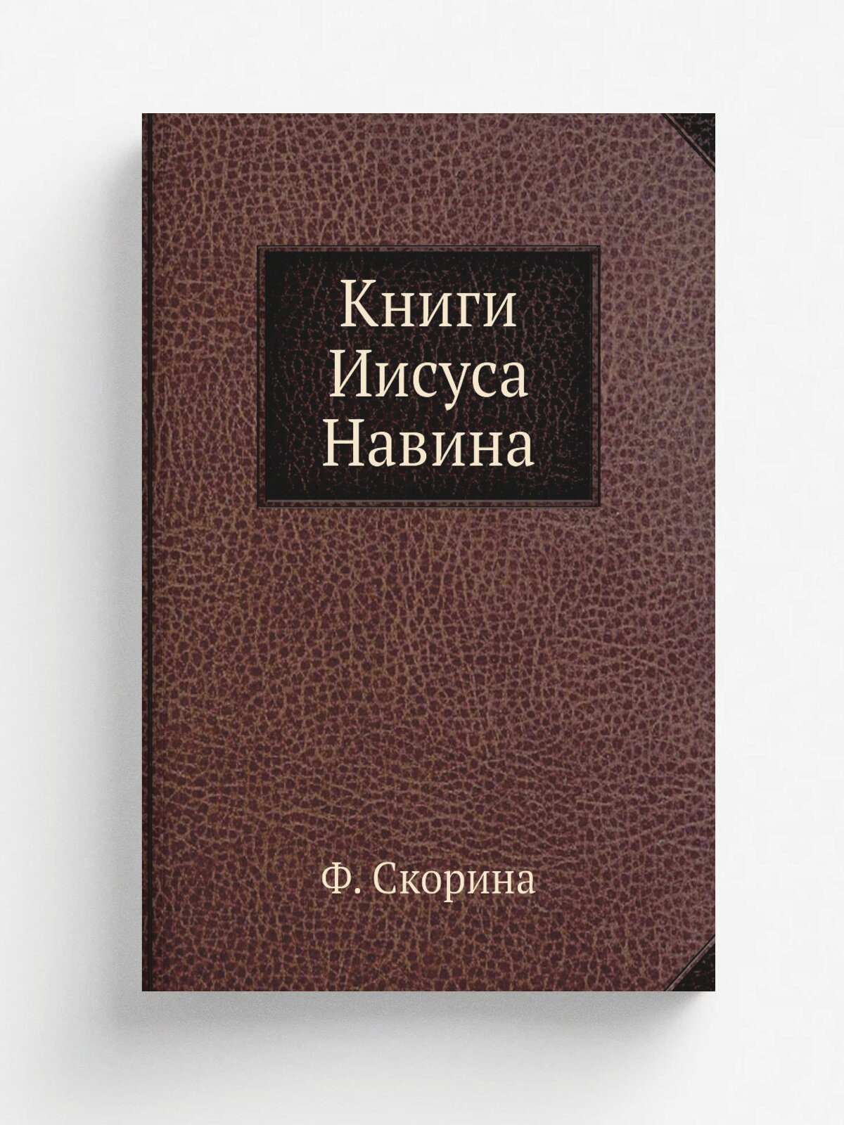 Книги Иисуса Навина