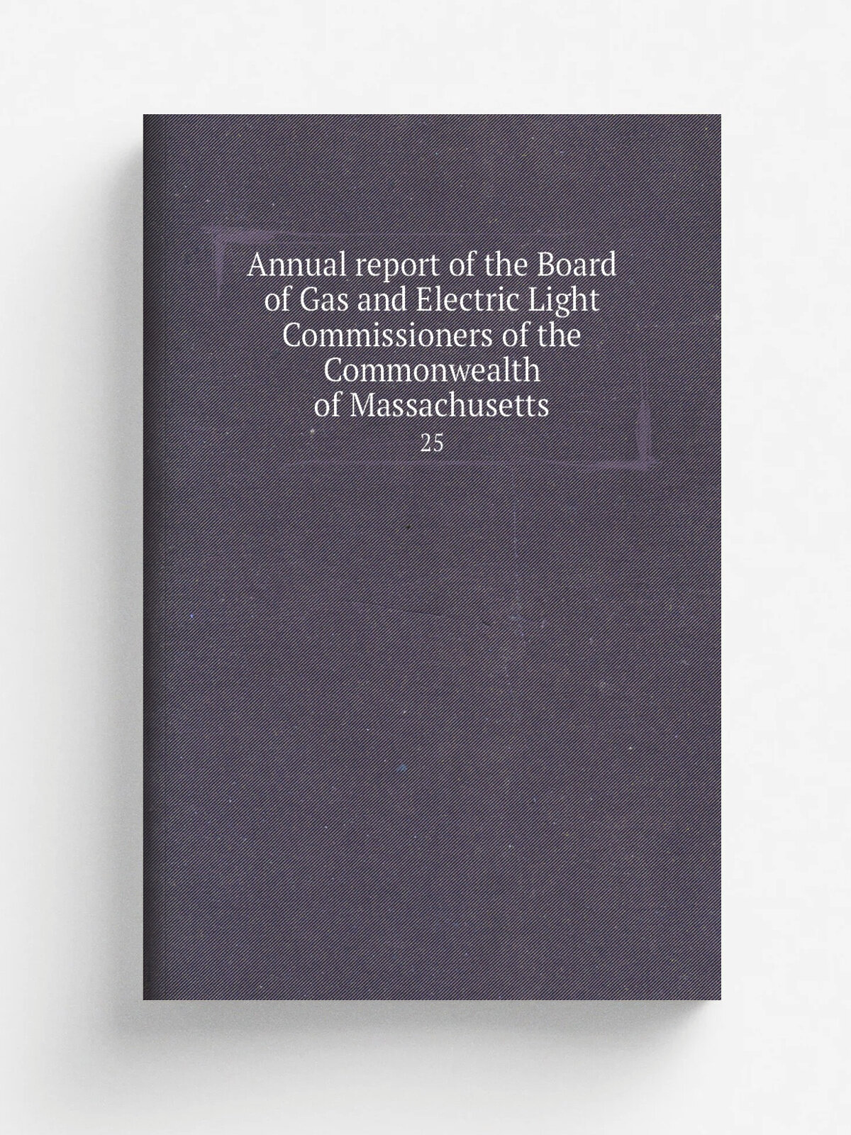 Annual report of the Board of Gas and Electric Light Commissioners of the Commonwealth of Massachusetts. 25