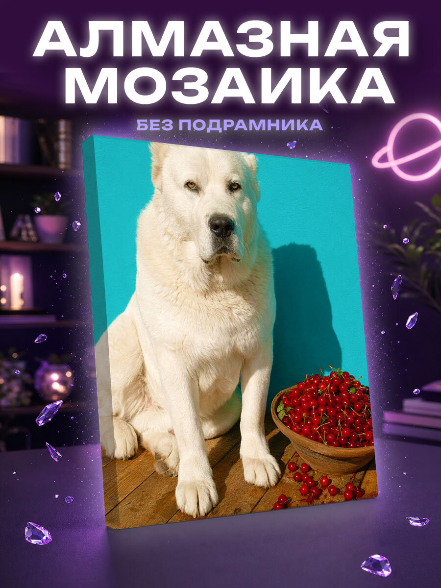Алмазная мозаика Белый алабай на веранде у блюда с вишней