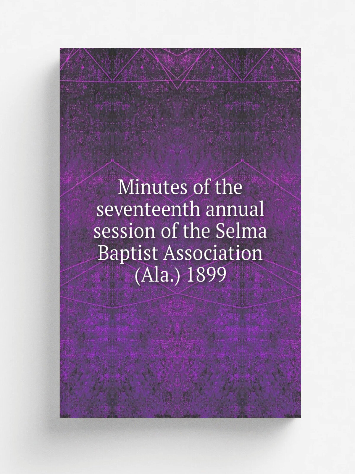 Minutes of the seventeenth annual session of the Selma Baptist Association (Ala.) 1899