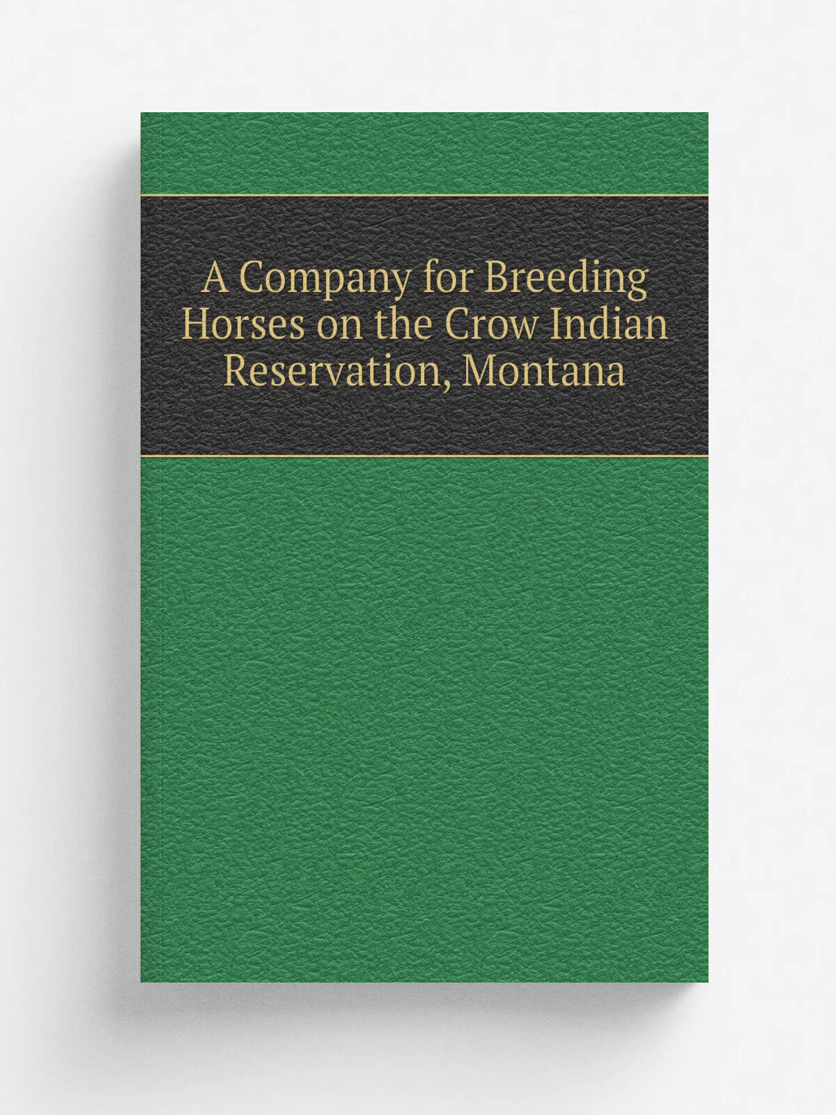 A Company for Breeding Horses on the Crow Indian Reservation, Montana
