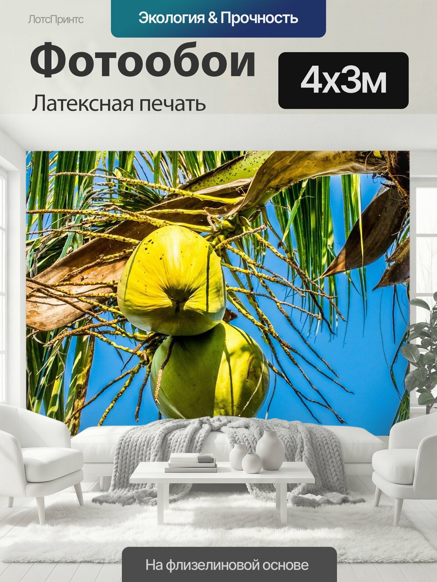 Фотообои моющиеся ударопрочные "Кокосы, кокос, кокосовая пальма" 400x300 см. латексная печать