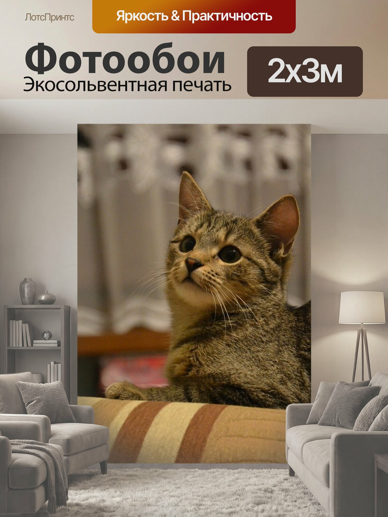 Фотообои "Кошка, котенок, tomcat" 200x300 см. экосольвентная печать