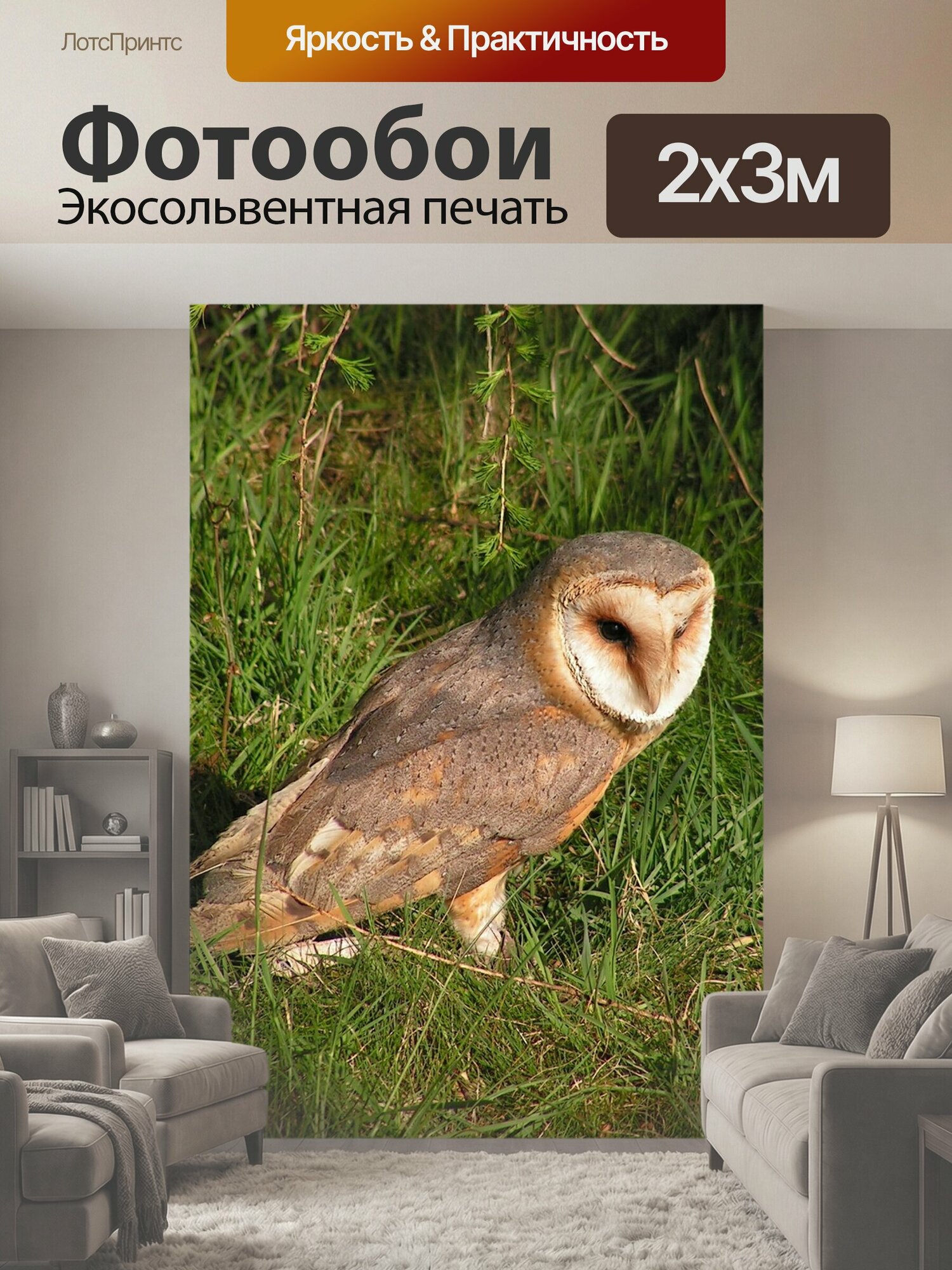Фотообои "Сипуха, эти альбомы, сова" 200x300 см. экосольвентная печать
