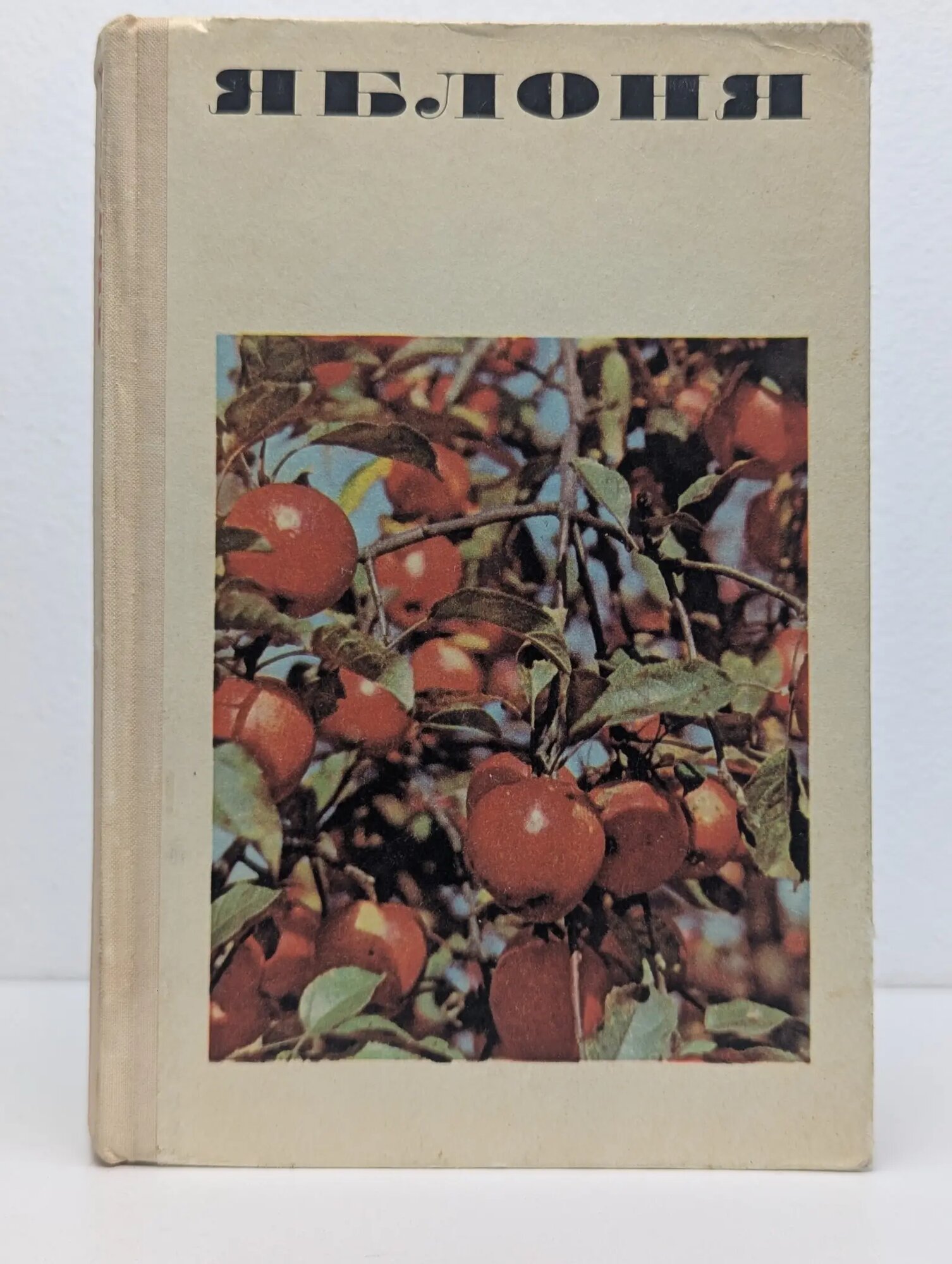 Яблоня. Сорта и агротехника Заяц В. К. (ред.) 1975