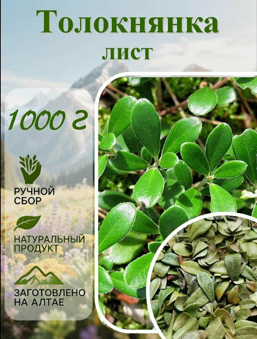 Толокнянка обыкновенная листья (медвежьи ушки), 1000 грамм, АлтайМир
