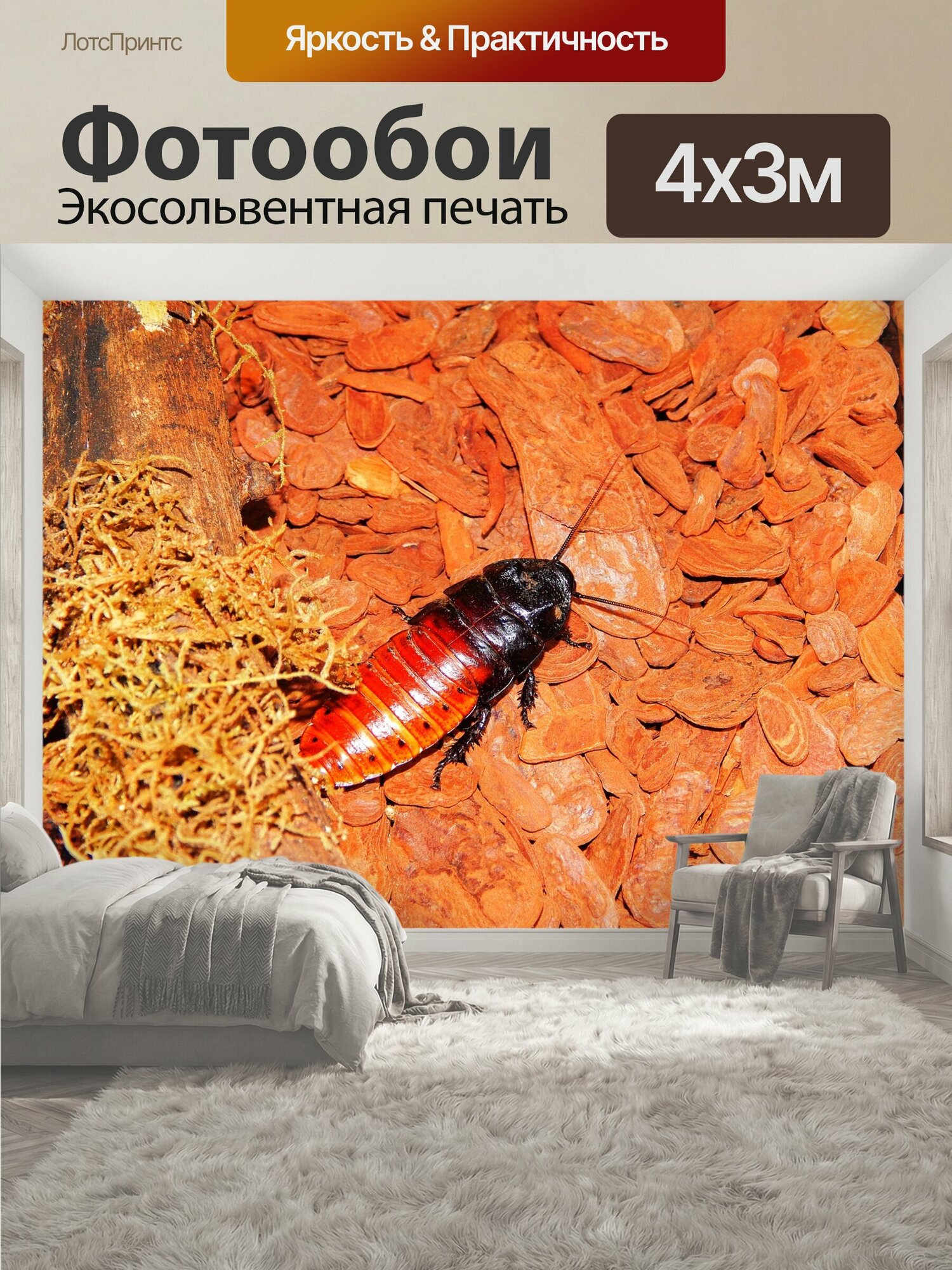 Фотообои "Таракан, мадагаскарский таракан, гигантский мадагаскарский таракан" 400x300 см. экосольвентная печать