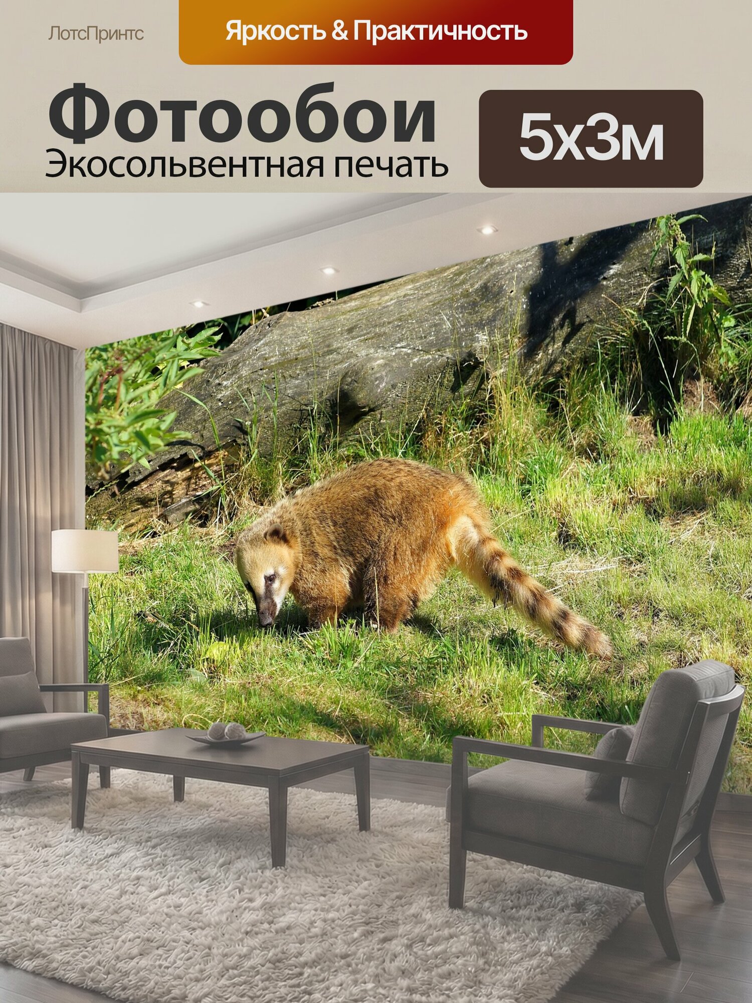 Фотообои "Коати, пушистый, кудрявый хвост" 500x300 см. экосольвентная печать