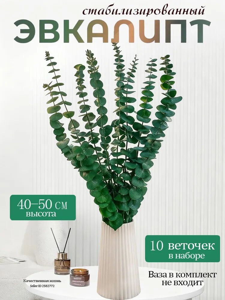 Сухоцветы Эвкалипт, 50 см, 10 шт